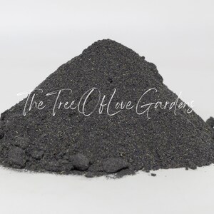 Butterfly Pea Flower | Tea | Powder| Clitoria Ternatea - Etsy