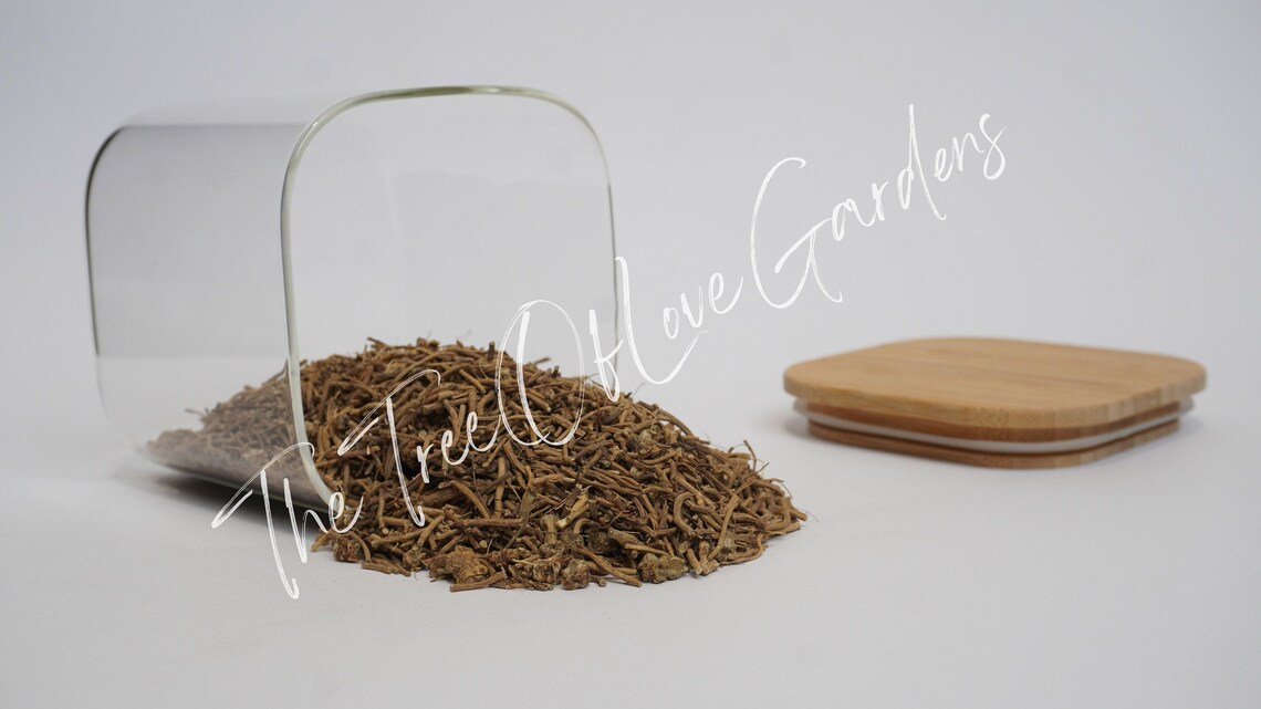Wood Betony Root | Stachys Officinalis | Wild-crafted | Stachys ...