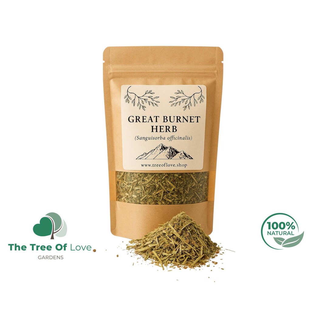 Burnet Herb | Great Burnet Herb | Sanguisorba Officinalis | Dried Herbs ...