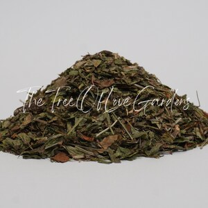 Sweet Woodruff | Galium Odoratum | Asperula Odorata | Asperula Leaf ...