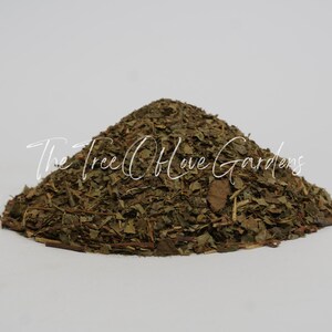 Java Tea | Java Leaf | Organic | Cat's Whiskers Leaf | Orthosiphon ...