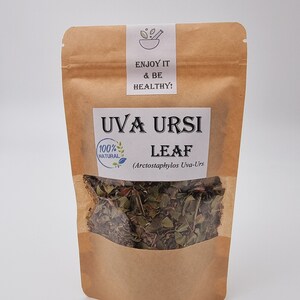 Uva Ursi Leaf Uva Ursi Uva Ursi Tea Bearberry Leaf Bearberry Dried ...