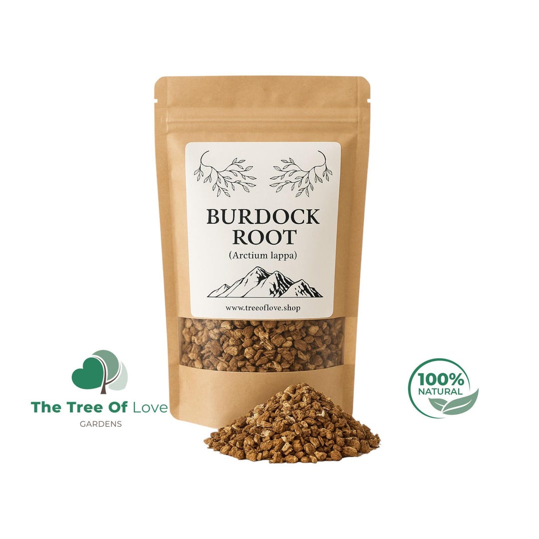 Burdock Root Tea | Arctium Lappa L. - Radix | Dried Herbs | Herbal ...