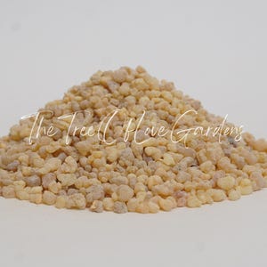 Frankincense Resin | Boswellia Serrata | 100% Pure Natural | Dried ...