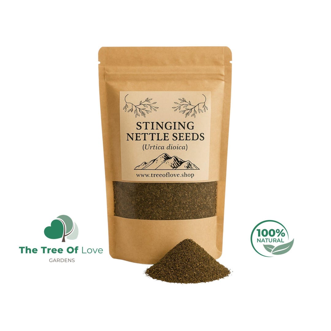 Nettle Seeds for Tea | Eating | Wildcrafted | Urtica Dioica | Stinging ...