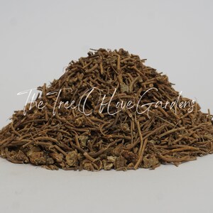 Wood Betony Root | Stachys Officinalis | Wild-crafted | Stachys ...