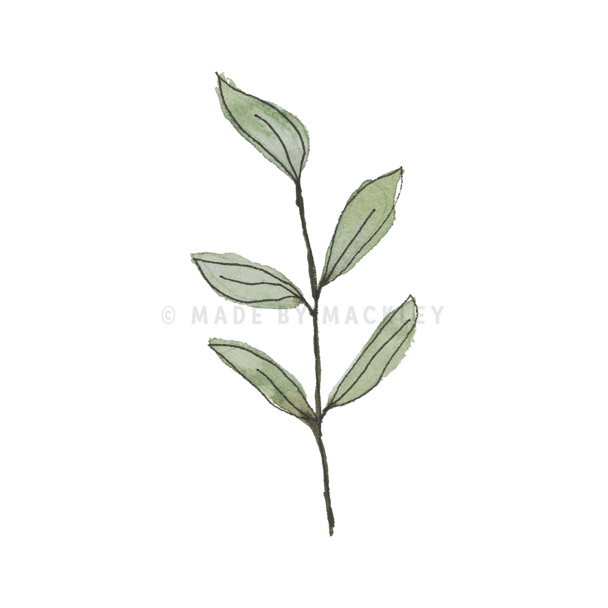 Simple Green Leaves Multiple Size Options Botanical Branch Bundle ...