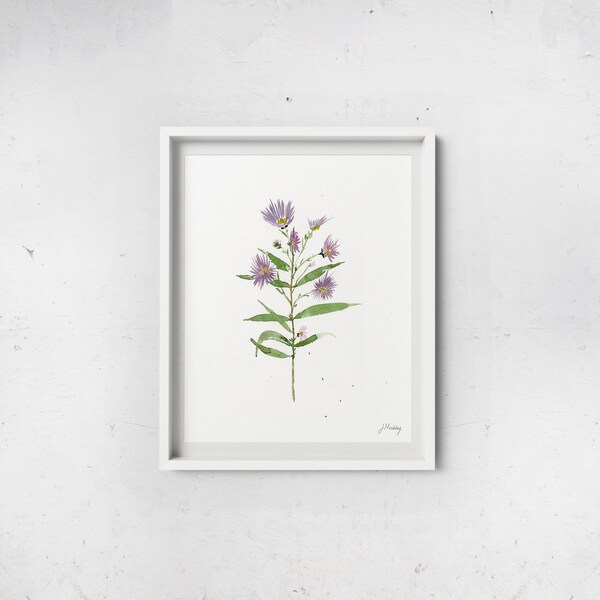Aster Art - Etsy