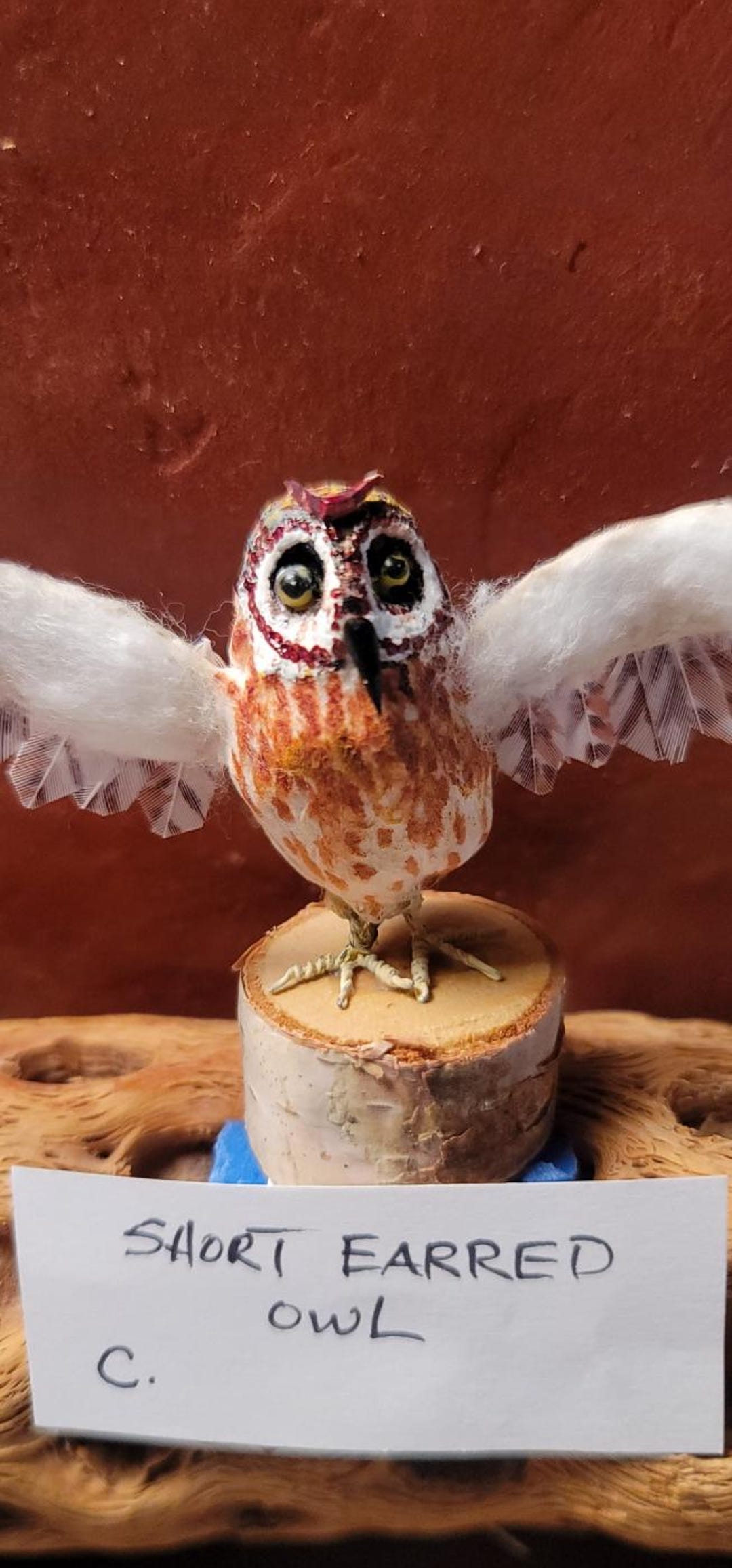 Short-eared Owl C – Birds in Flight Series – 1:12 Scale Miniature by ...