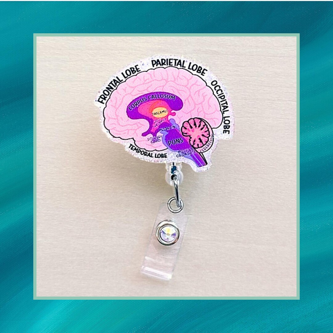 Anatomical Brain Neurology Badge Reel - Etsy