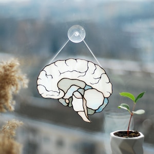 Stained Glass Human Brain Window Panel Stained Glass Window Hanging ...