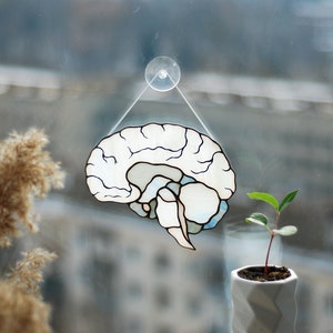 Stained Glass Human Brain Window Panel Stained Glass Window Hanging ...