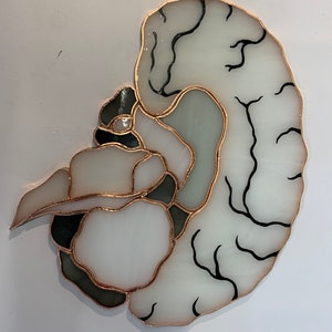 Stained Glass Human Brain Window Panel Stained Glass Window Hanging ...