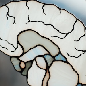 Stained Glass Human Brain Window Panel Stained Glass Window Hanging ...