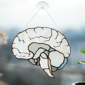 Stained Glass Human Brain Window Panel Stained Glass Window Hanging ...