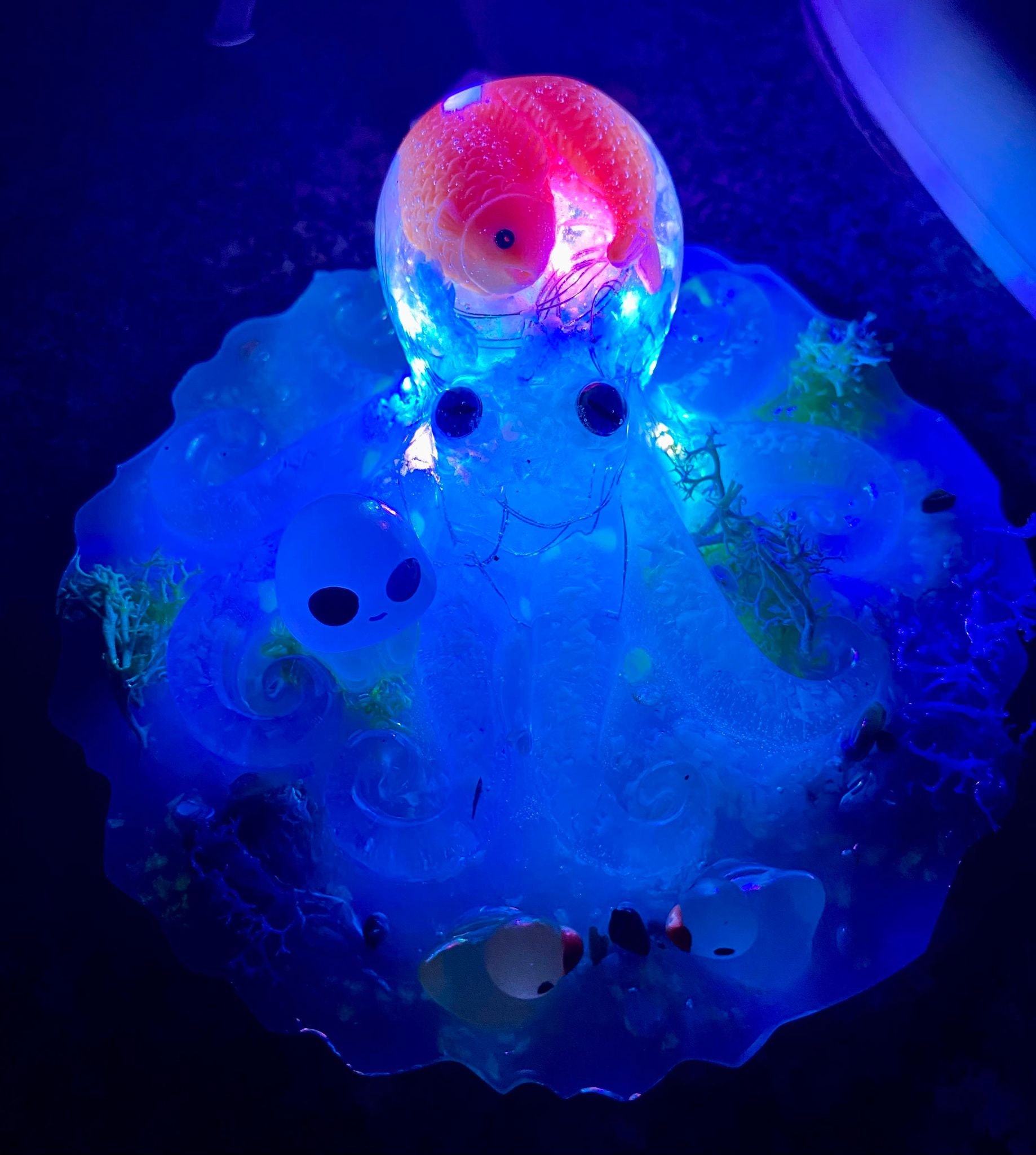 Super Adorable Octopus, Kraken, Sea Themed Gift, Customizable Gift ...