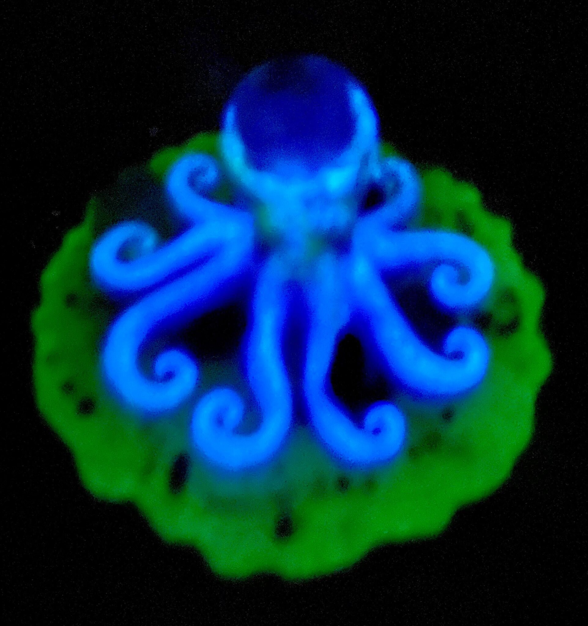 Super Adorable Octopus, Kraken, Sea Themed Gift, Customizable Gift ...