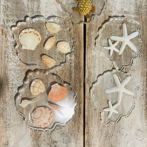 Seashell Coasters - Etsy