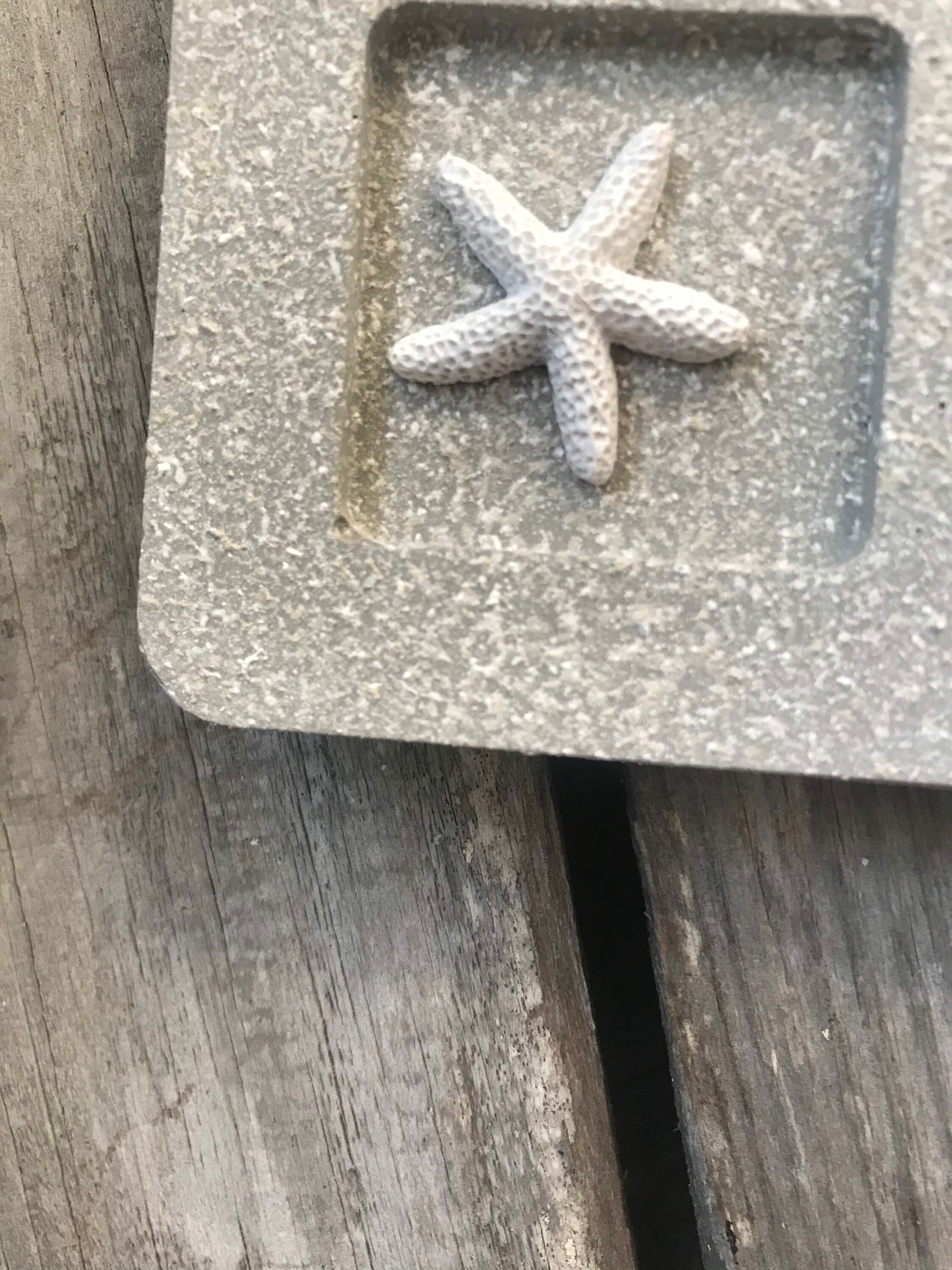 Tic Tac Toe With Green Shells, Beach Decor, Seashell Art - Etsy