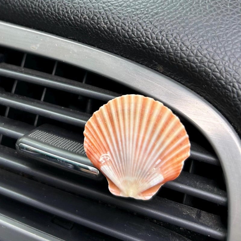Car Vent Decoration - Etsy