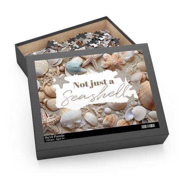 Seashell - Etsy