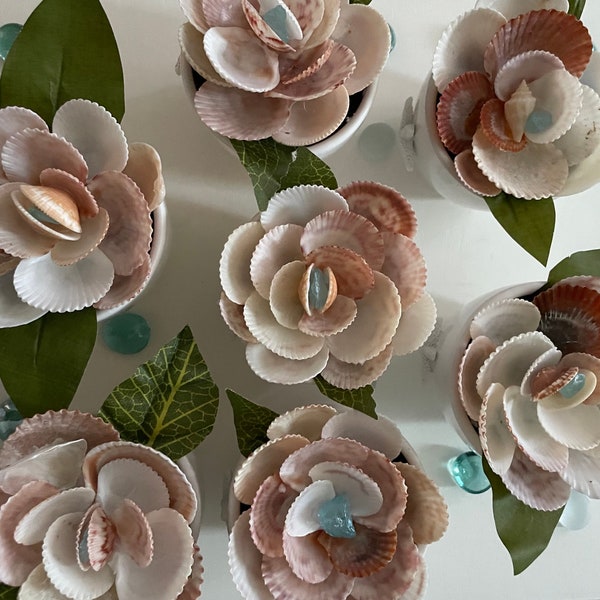 Seashell Flowers - Etsy