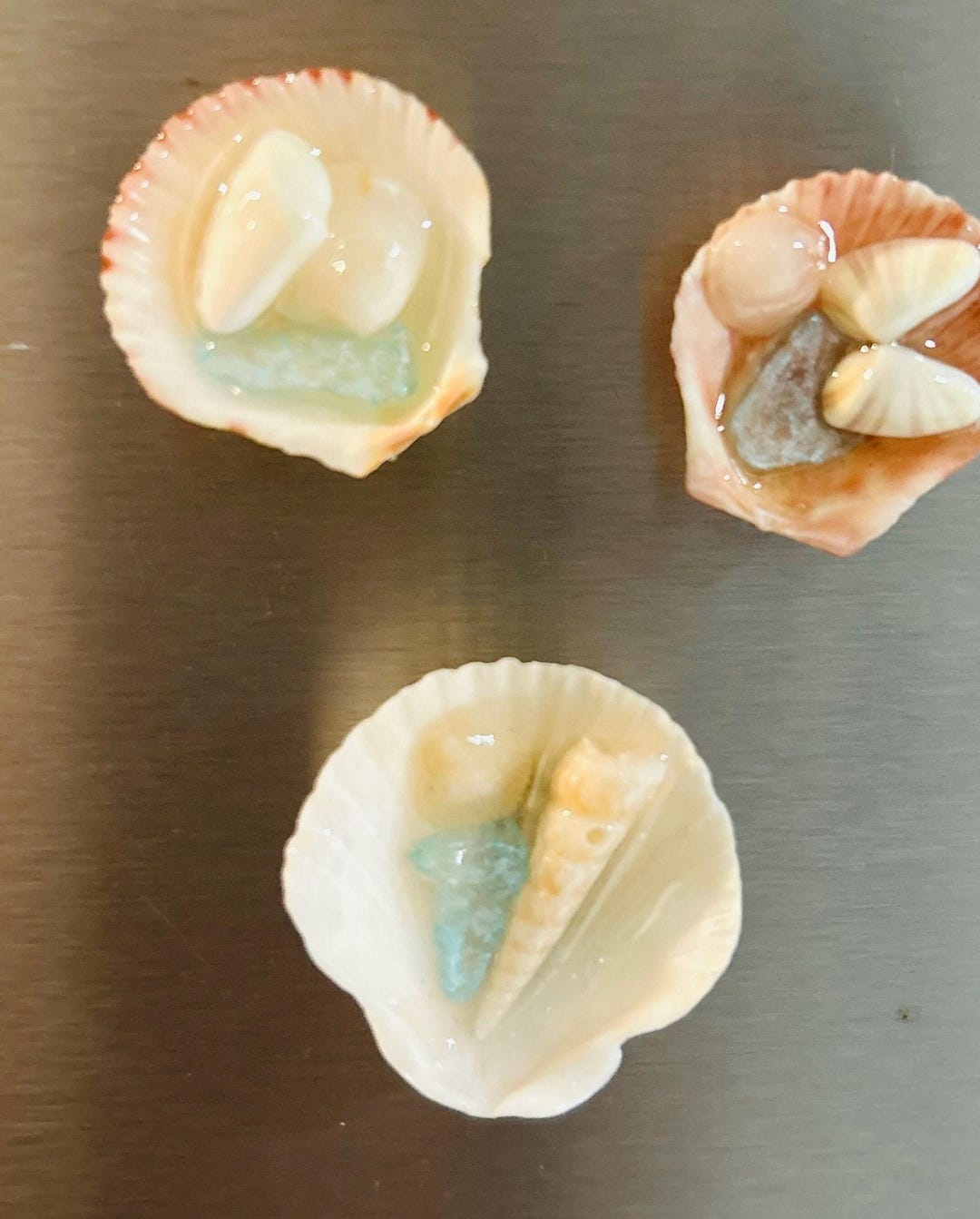 Seashell Magnets Set of 3,magnet for Refrigerator, Housewarming Gift ...