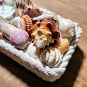Long Seashell Centerpiece ,seashell Table Decor Candle Holder Beach ...