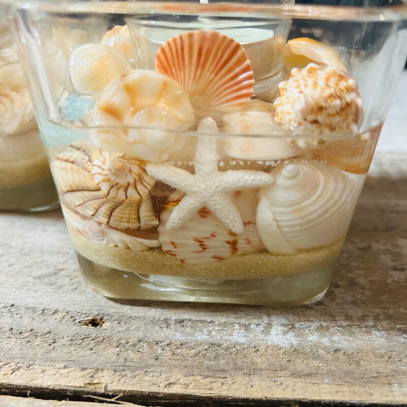 Seashell Candle - Etsy