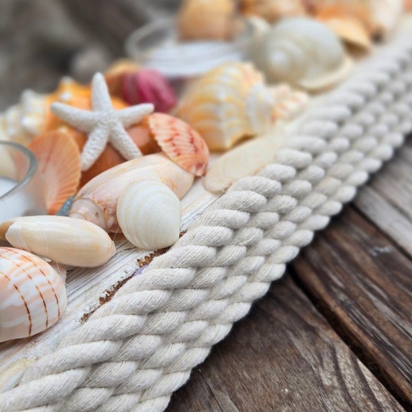 Seashell Centerpiece - Etsy