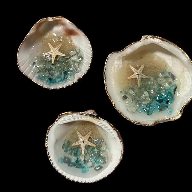 Sea Shell Resin Art - Etsy