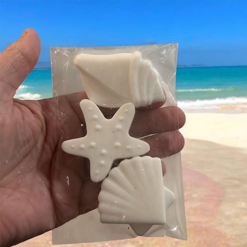 Seashell Favors - Etsy