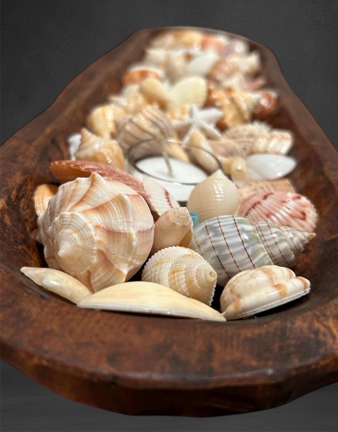 Seashell Table Centerpiece Rustic Wood Dough Bowl Candle Holder for ...