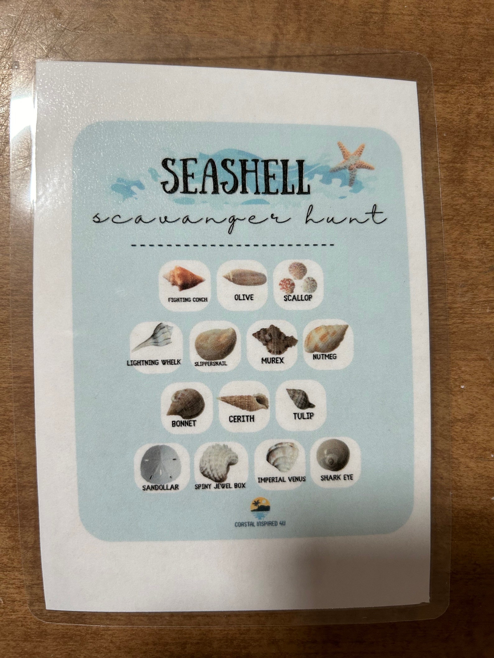 Seashell Scavenger Hunt Game: Laminated Beach Travel Activity - Etsy