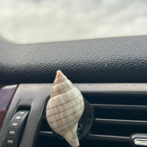 Seashell Car Vent Clip: Coconut Scented Beach Car Accessory - Etsy