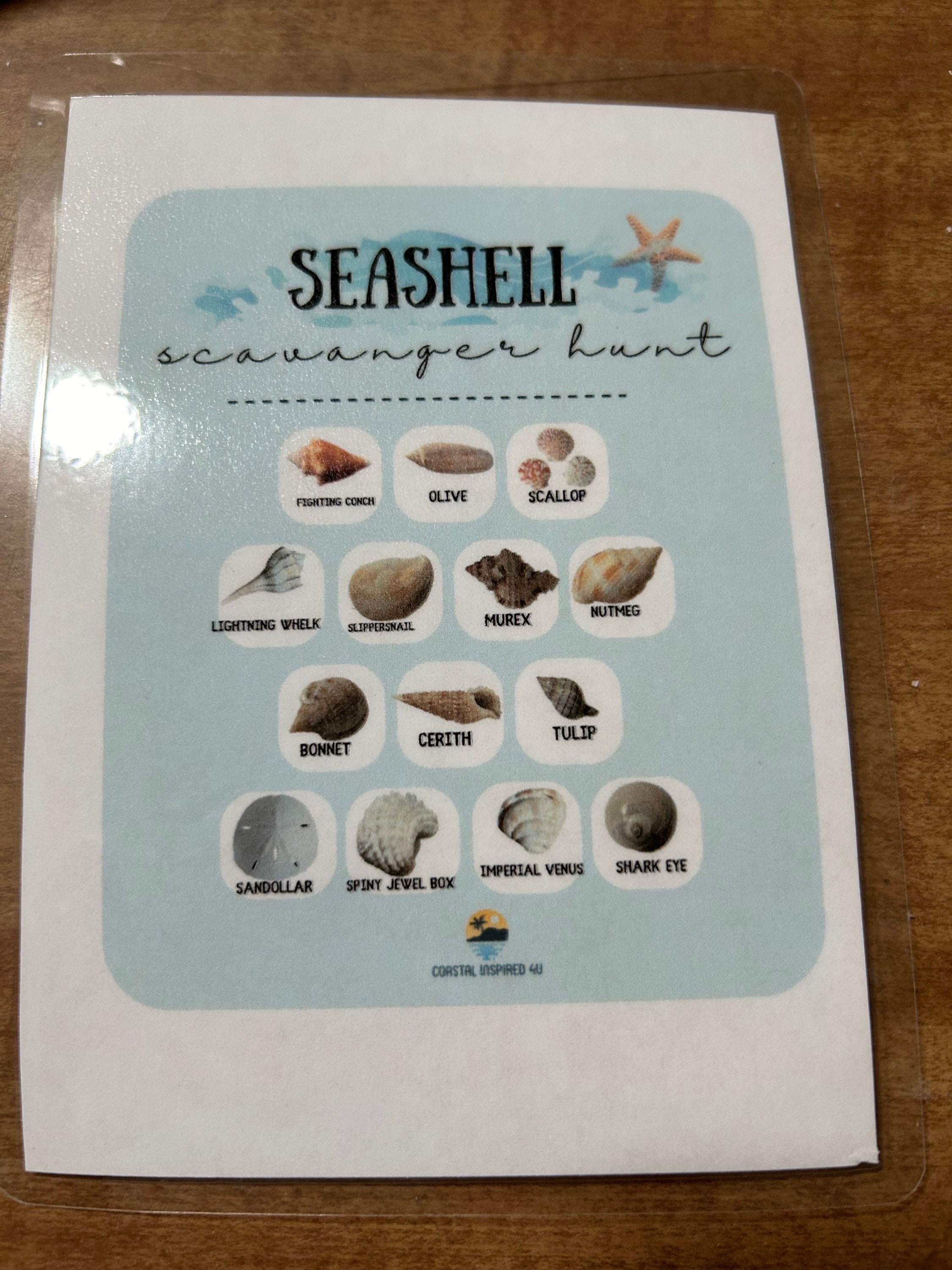 Seashell Scavenger Hunt Game: Laminated Beach Travel Activity - Etsy