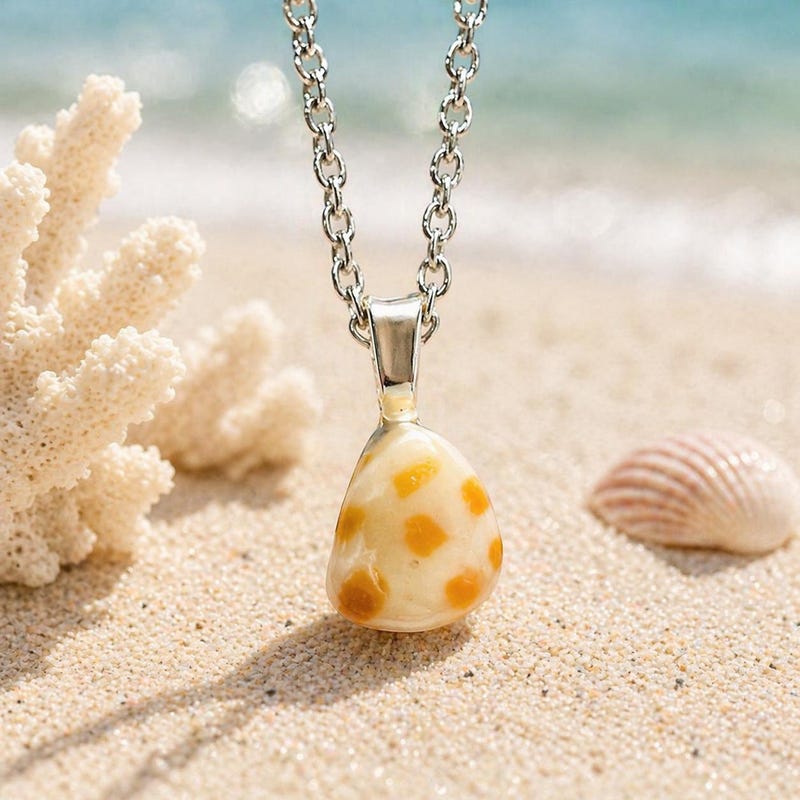 Sea Shells Junonia - Etsy