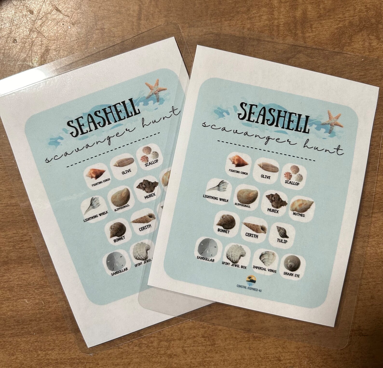 Seashell Scavenger Hunt Game: Laminated Beach Travel Activity - Etsy