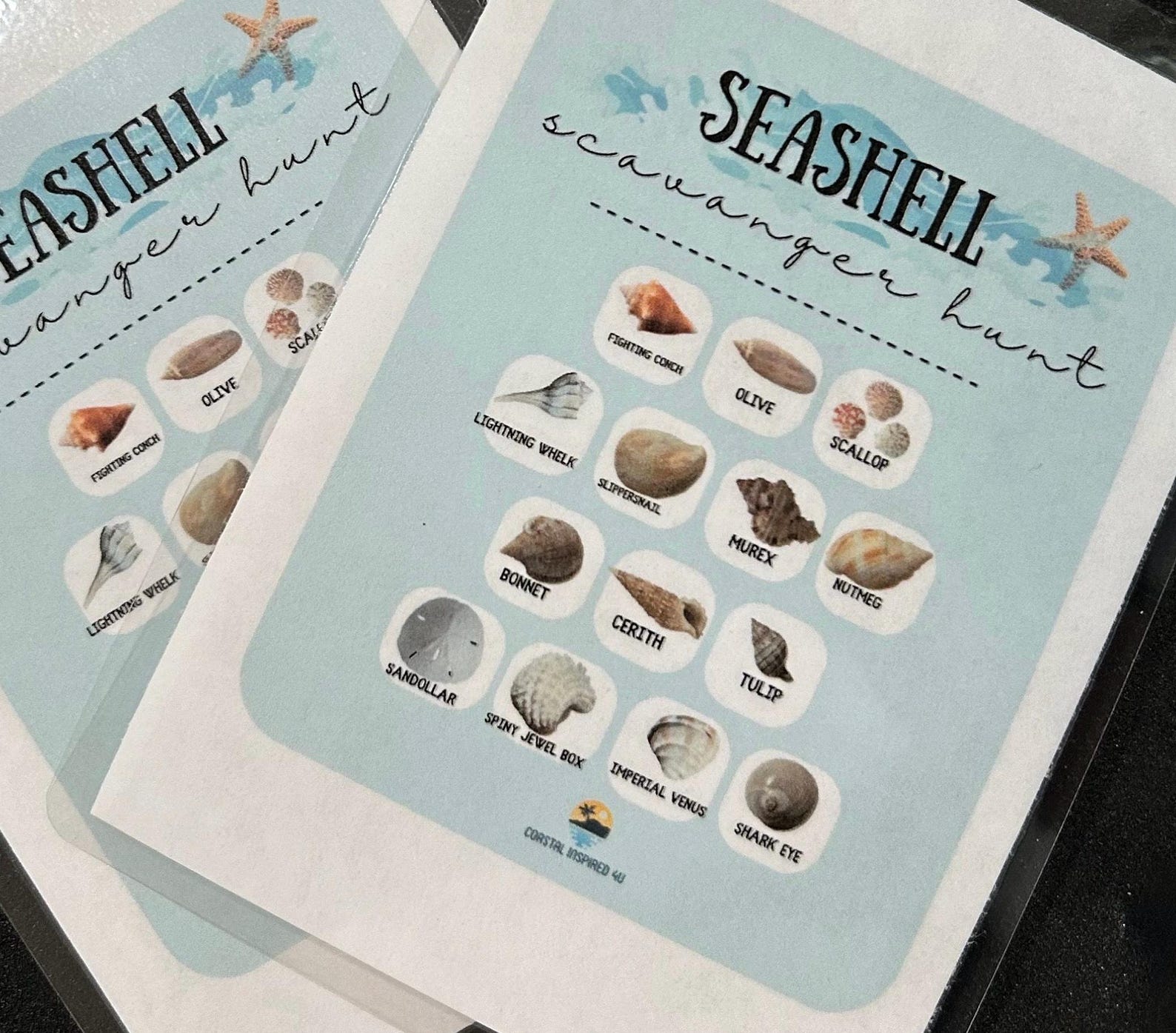 Seashell Scavenger Hunt Game: Laminated Beach Travel Activity - Etsy