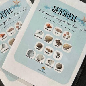Seashell Scavenger Hunt Game: Laminated Beach Travel Activity - Etsy