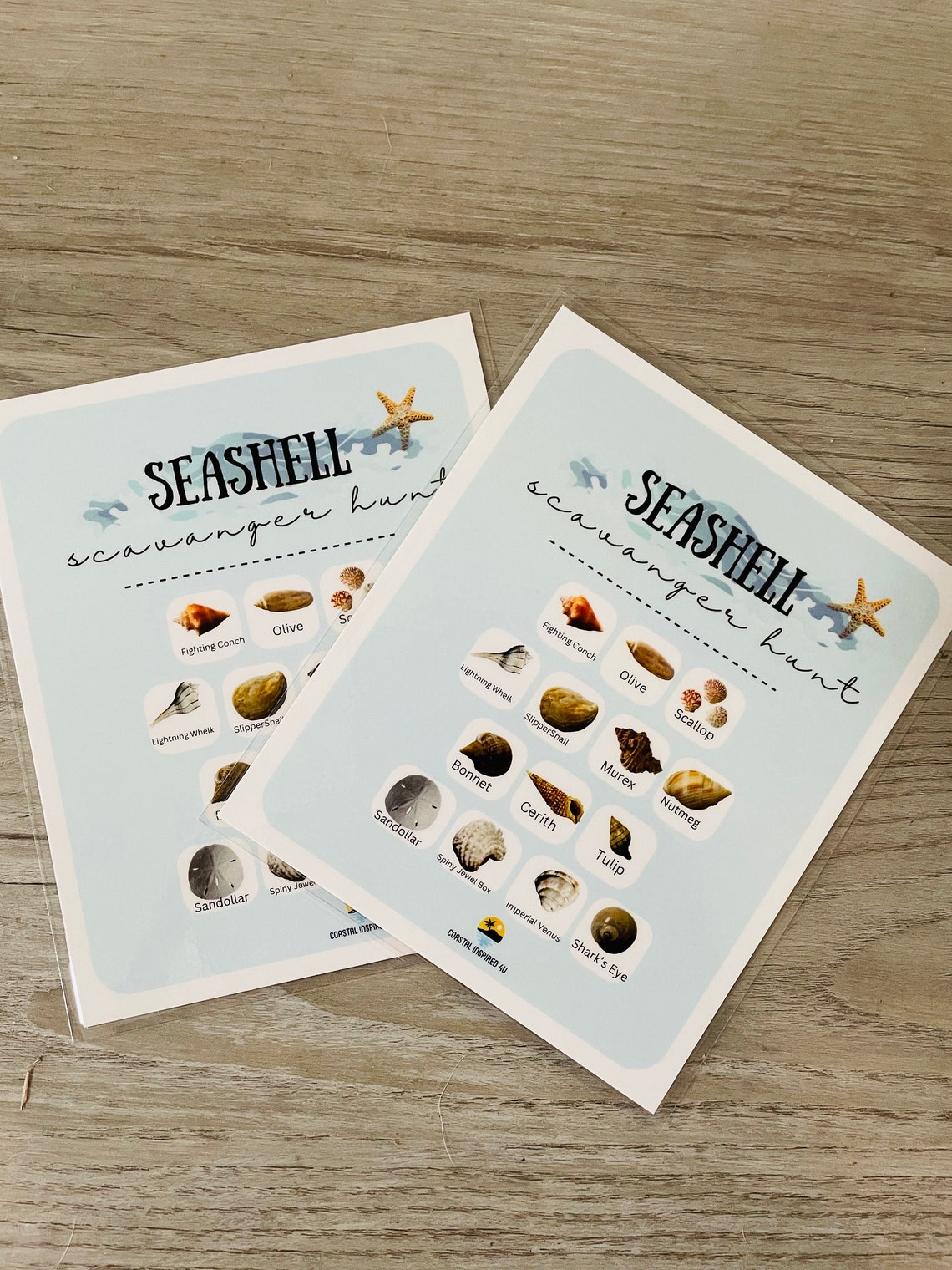 Seashell Scavenger Hunt Game: Laminated Beach Travel Activity - Etsy