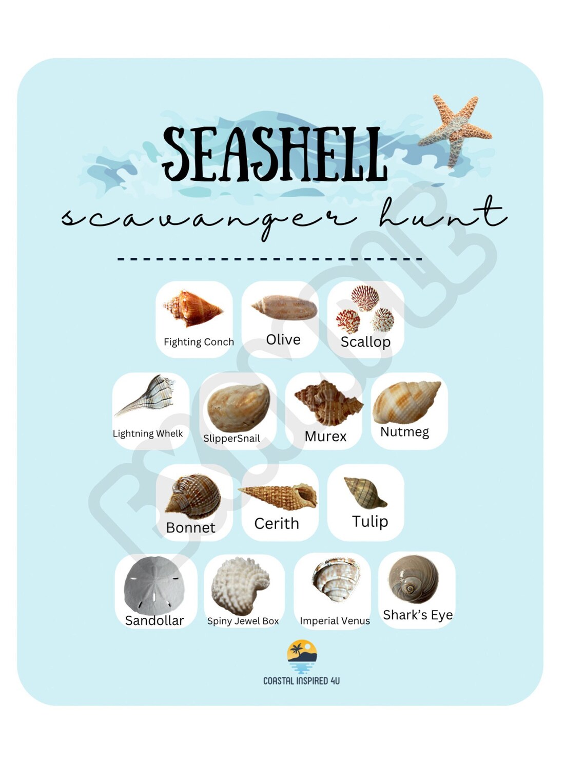 Seashell Scavenger Hunt Game: Laminated Beach Travel Activity - Etsy