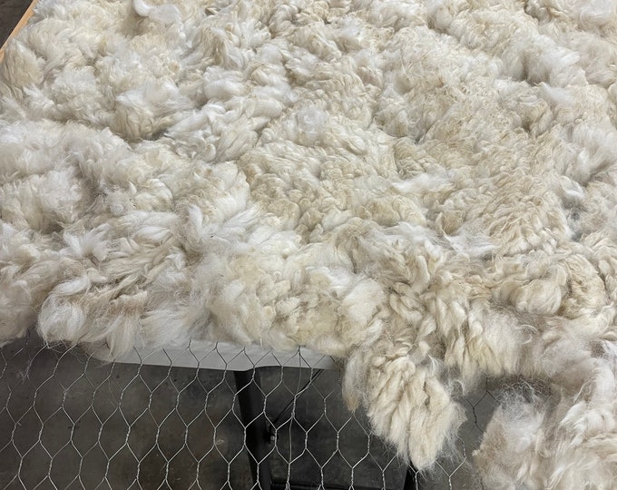 Raw Alpaca Fleece, White Blanket, Raw Wool, Grade 2, Superfine, 22.6 ...