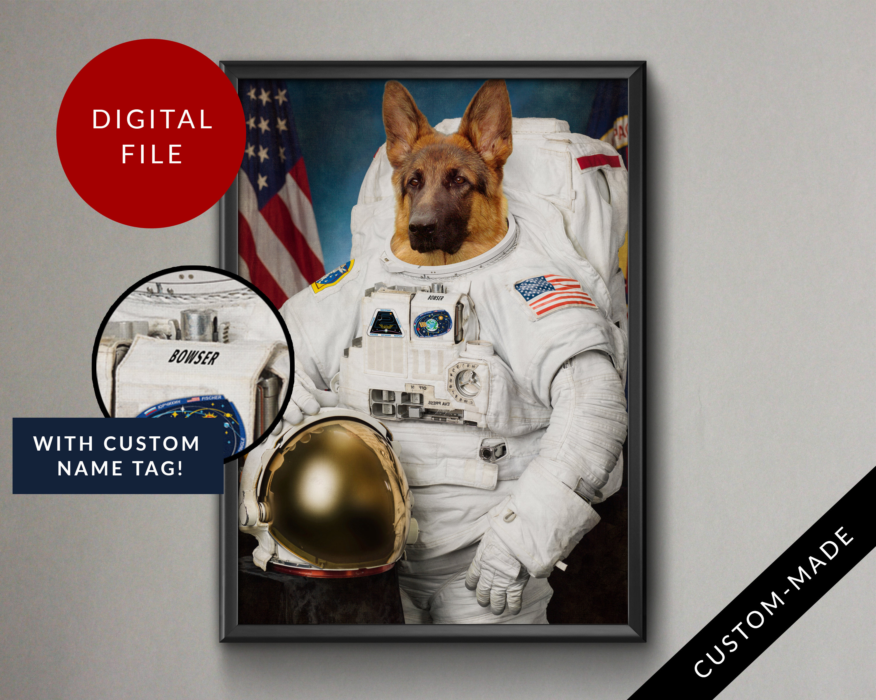 Dog In Space Apollo