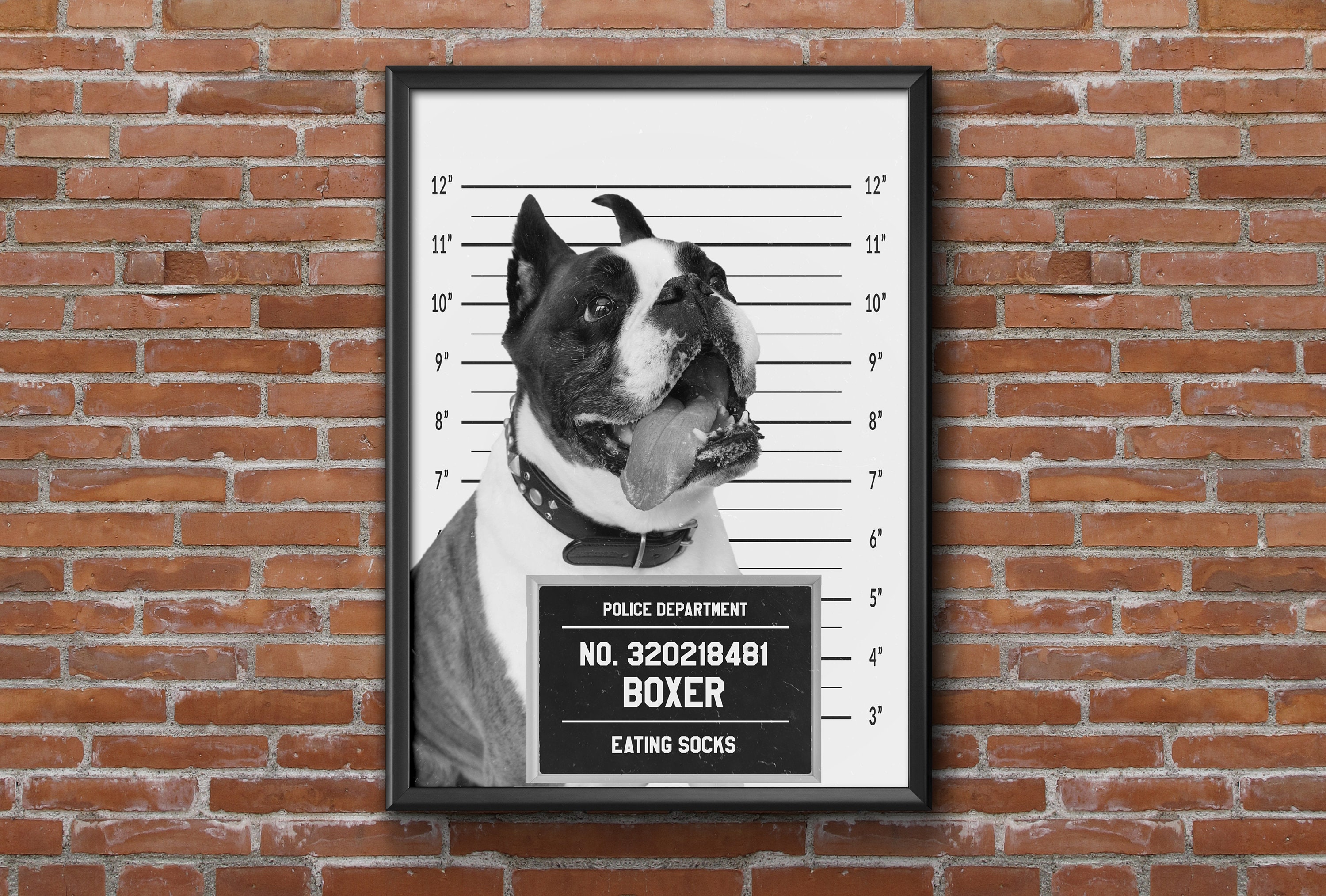 Custom Mugshot Pet Portrait Personalized, Funny Bird Gift, Criminal ...