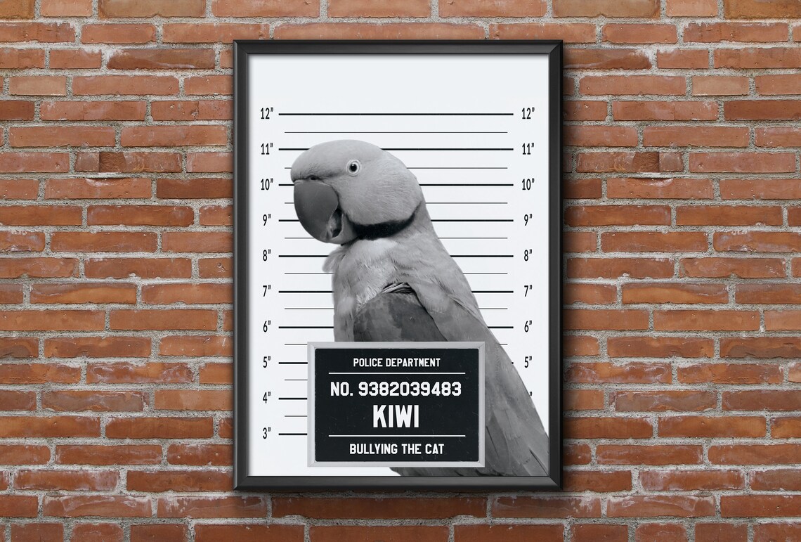 Custom Mugshot Pet Portrait Personalized Funny Gift Criminal - Etsy