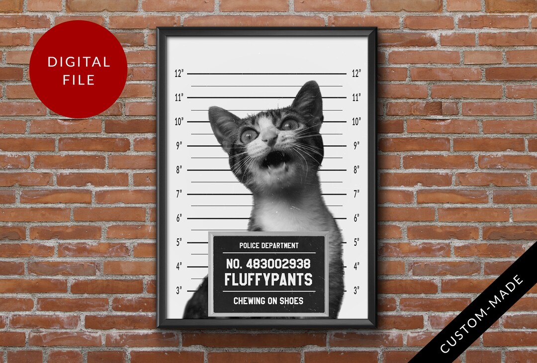 Custom Mugshot Pet Portrait Personalized, Funny Gift, Criminal Pet, Cat ...