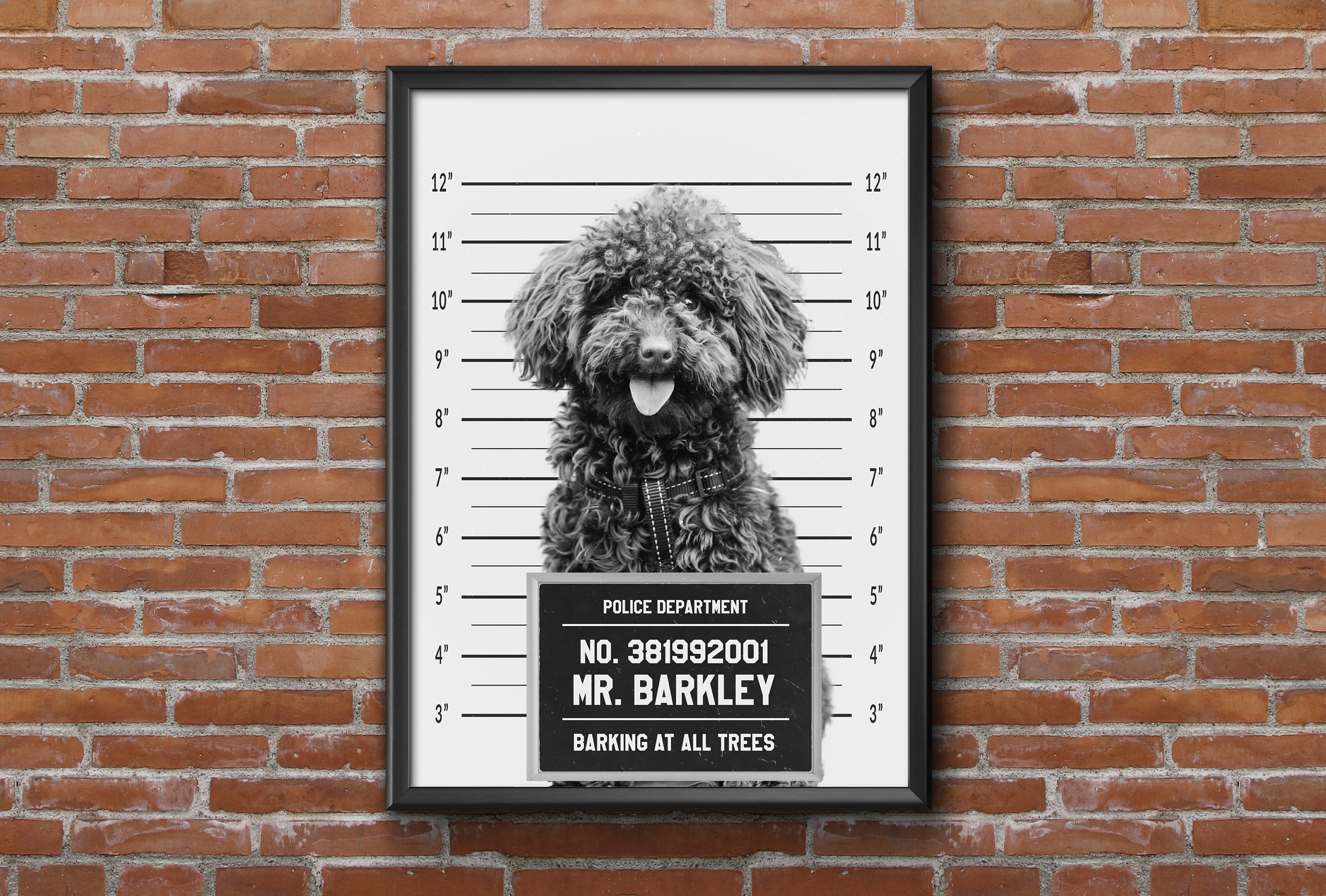 Custom Mugshot Pet Portrait Personalized Funny Gift Criminal - Etsy