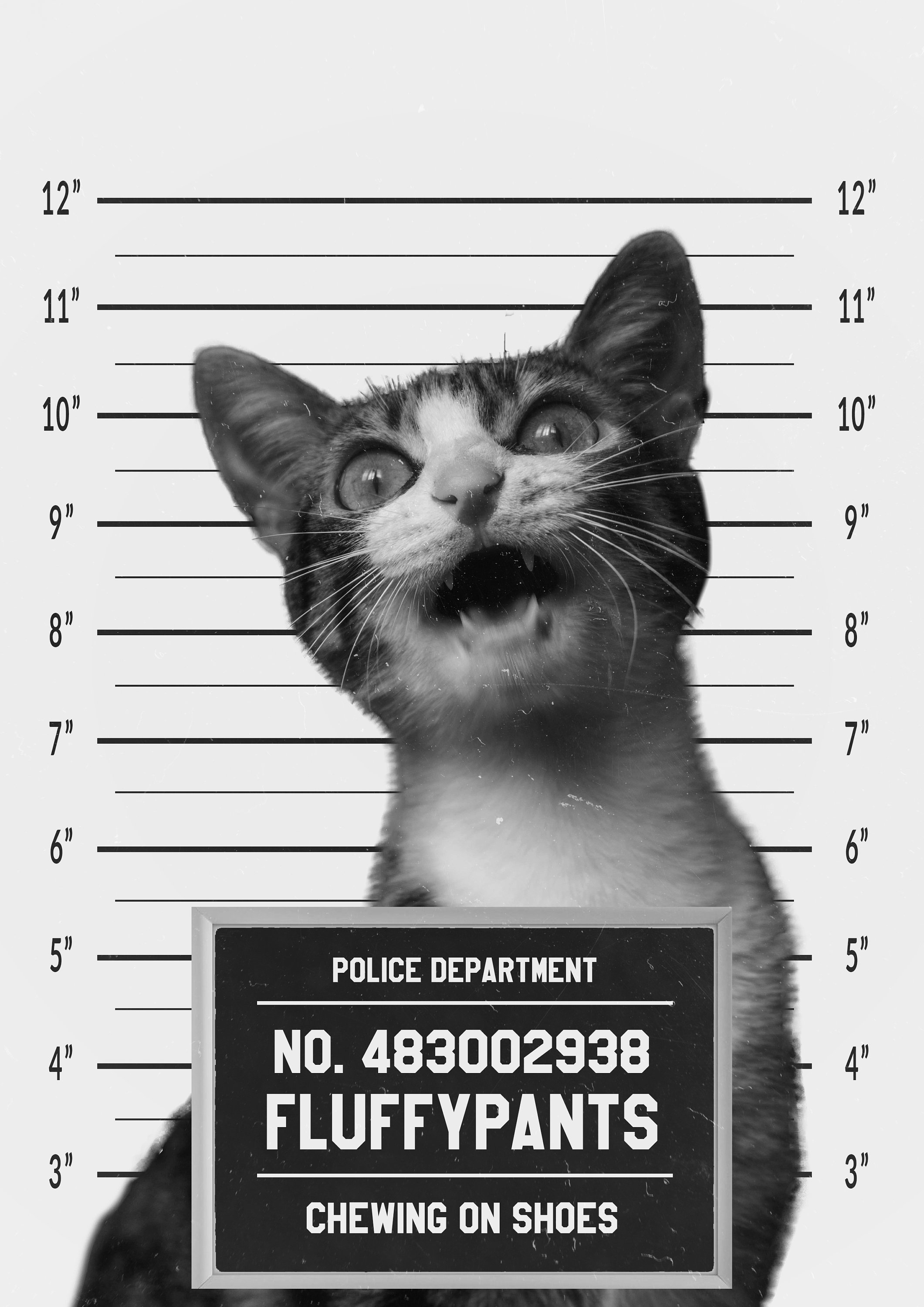 Custom Mugshot Pet Portrait Personalized Funny Gift Criminal - Etsy