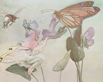 F is for Fairy - Fairy Alphabet Print - Illustrated by Fanny Y. Cory - Etsy